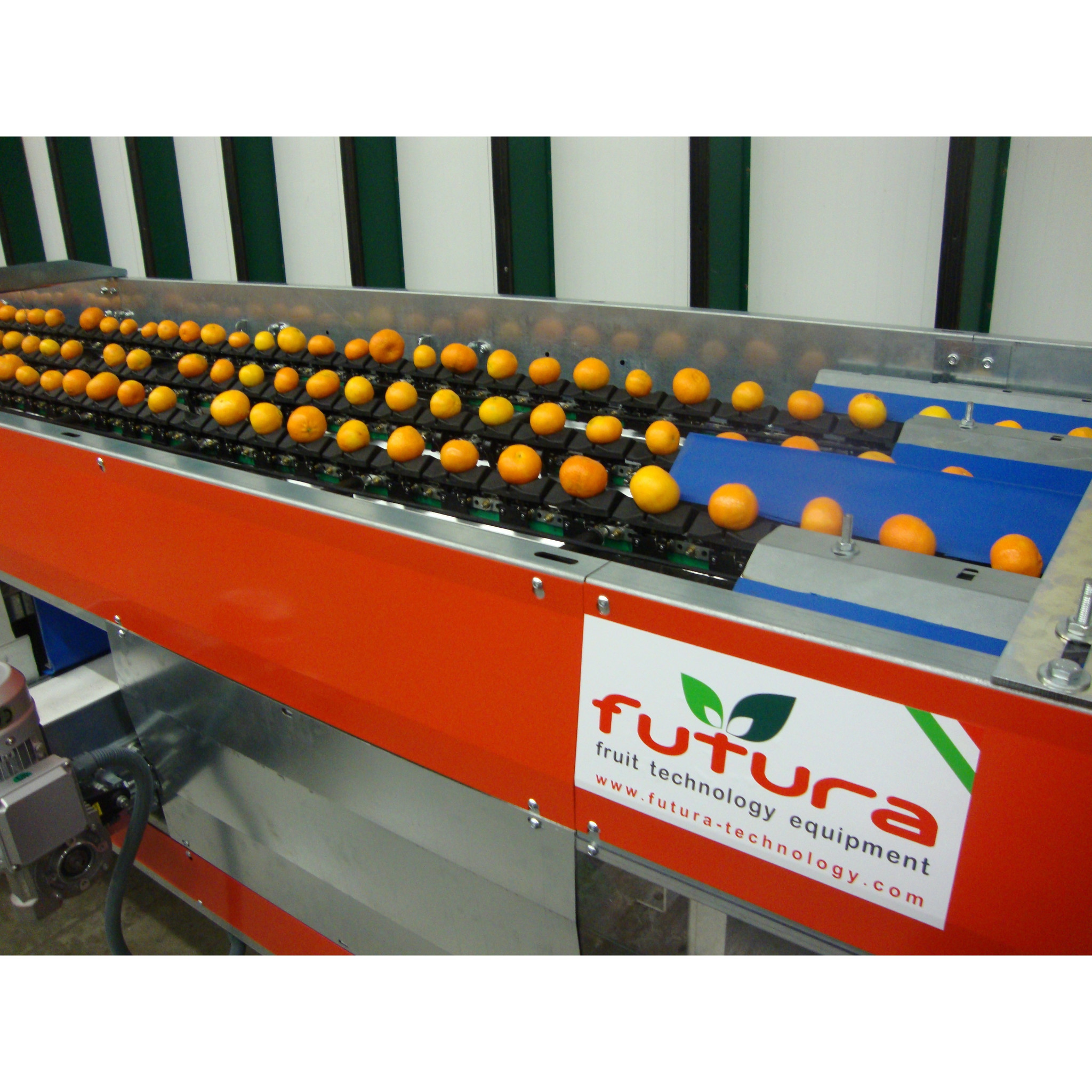 دستگاه سورتینگ مرکبات (خرید، قیمت 1404) - کاسپین سورت